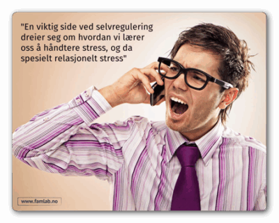 Selvregulering, samregulering og reguleringstøtte | Famlab.no